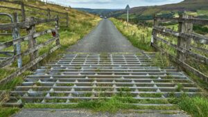 A Quick Guide to Cattle Grids (+ How to Install) – Regional & Rural ...